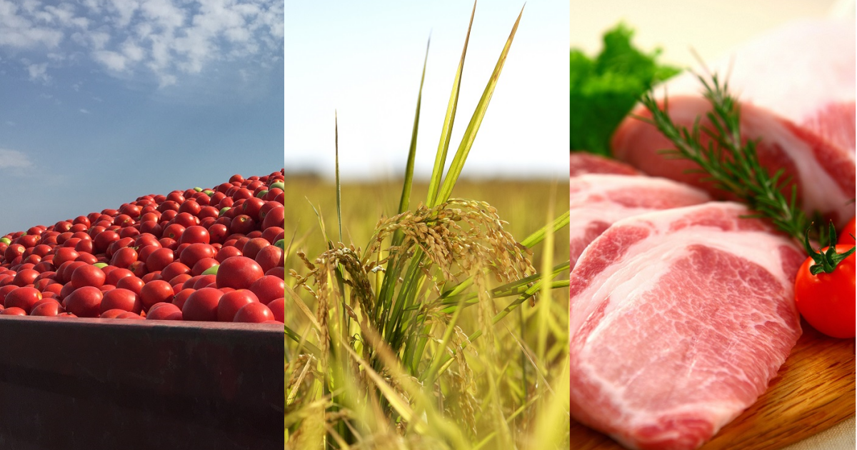 Creating a prosperous future around food, from production to ...