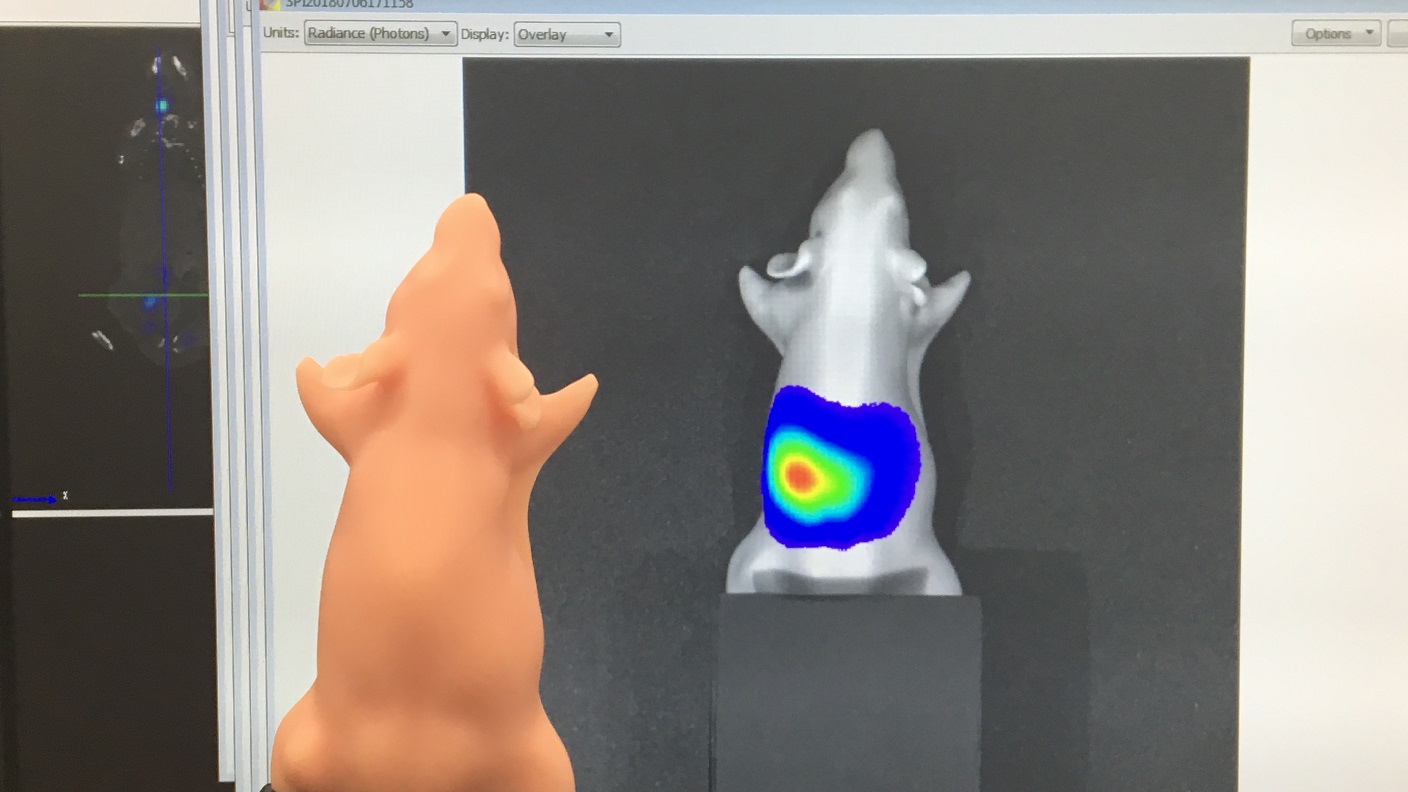 SPI accelerates the development of biotech and pharmaceuticals industry ...